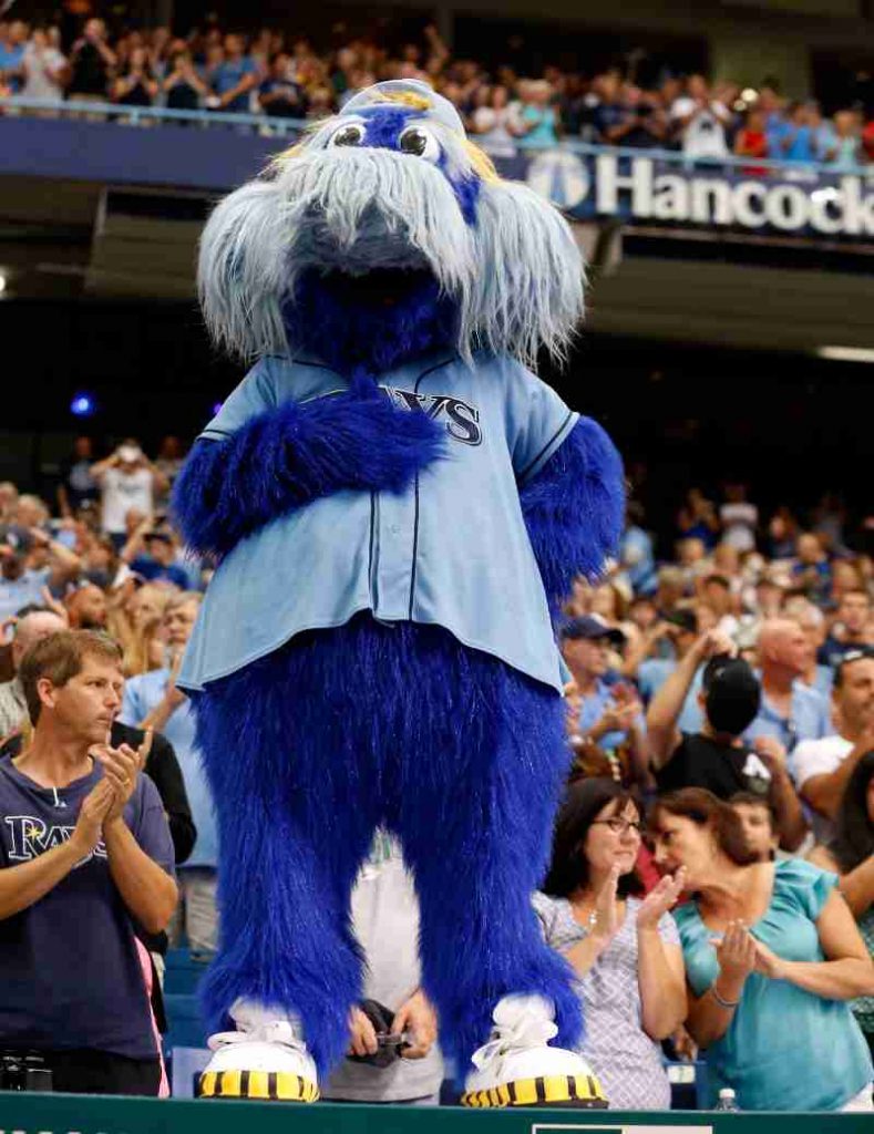 Tampa Bay Rays | Pitcheos Salvajes | Historia de los Equipos MLB